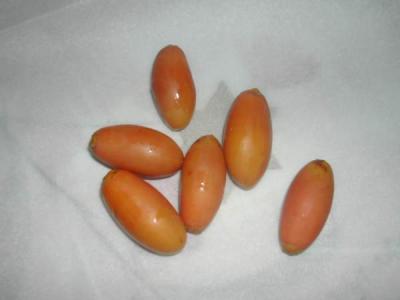 Que savons nous de la datte et prix de chez Ophelia et Nany - Le blog ...